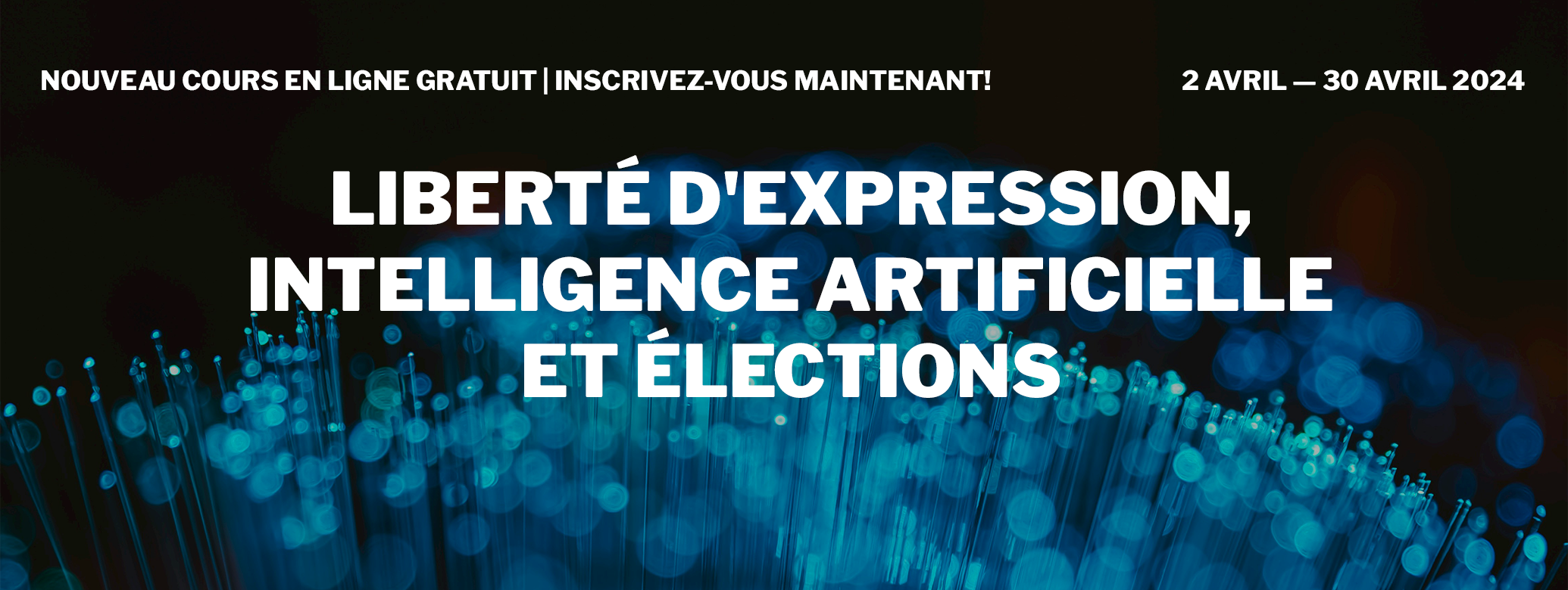 Liberté d'expression, intelligence artificielle et élections | Home